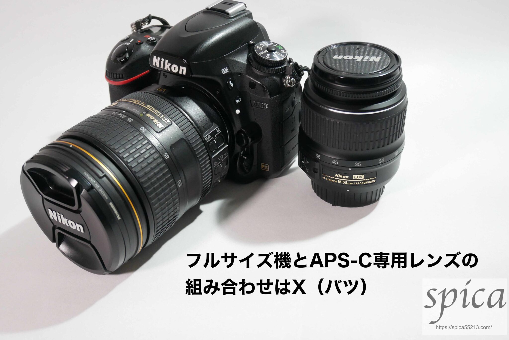 「フルサイズ」と「APS-C」の違い解説。画質・画角・対応レンズの違い | スピカのカメラ日誌