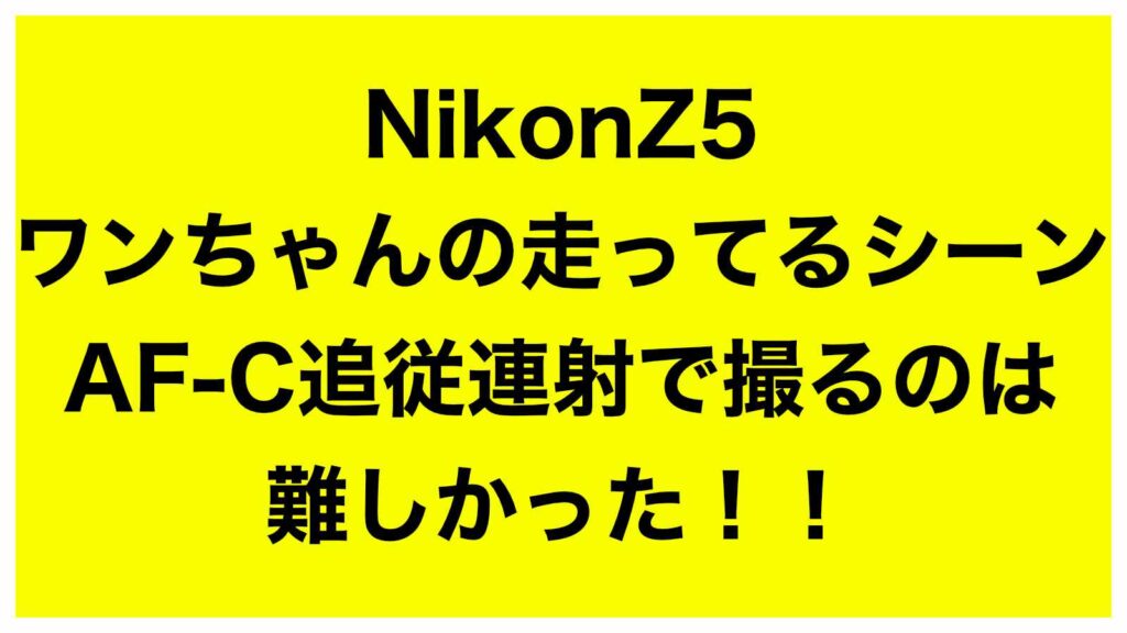 Z5 AF-Cで追いながらの動体撮影はキビしい（実体験） | スピカのカメラ日誌